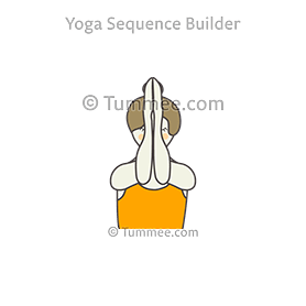 Cactus Arms Joined Close Up Variations - 168 variations of Cactus Arms ...