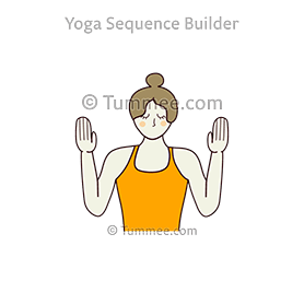 Cactus Arms Variation Close Up Variations - 168 variations of Cactus ...