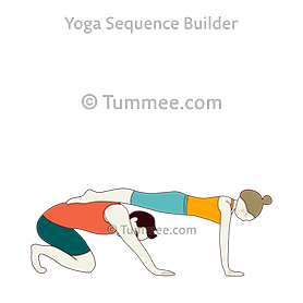 Double Dog Pose A Variations - 86 variations of Double Dog Pose A ...