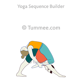 Floating Camel Pose Downward Facing Dog Pose Partner Yoga (Ustrasana ...