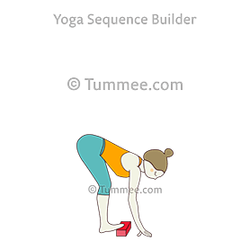 Half Forward Bend Pose Block Under Feet (Ardha Uttanasana Block Under ...