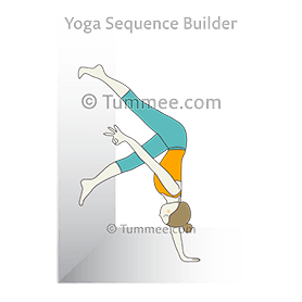 Half Handstand Pose Standing Forward Fold Pose Partner (Ardha Adho ...