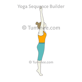 Urdhva Hastasana Yoga (Palm Tree Pose) | Yoga Sequences, Benefits ...