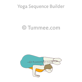 Pose Dedicated To Koundinya A (Koundinyasana A) Steps | Tummee.com