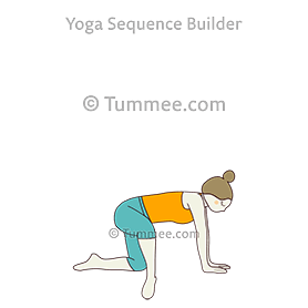 Table Top Pose Variation Leg Raised Aerial Leg Flow (Bharmanasana ...