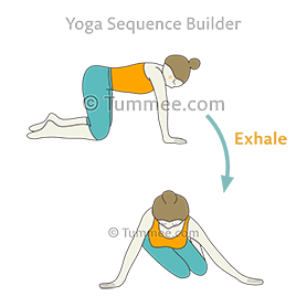 Table Top Pose Hips Side Flow (Bharmanasana Hips Side Flow) Variations ...