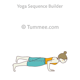 One Legged Four Limbed Staff Pose Flow (Eka Pada Chaturanga Dandasana ...