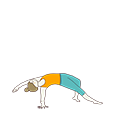 Wild Thing Pose Forearms Yoga (Camatkarasana Bahu) | Yoga Sequences ...